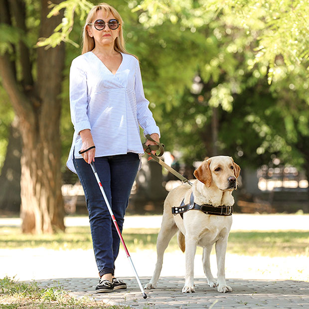 Degrees and Types of Visual Impairment – Raleigh NC | Stonehenge Vision ...
